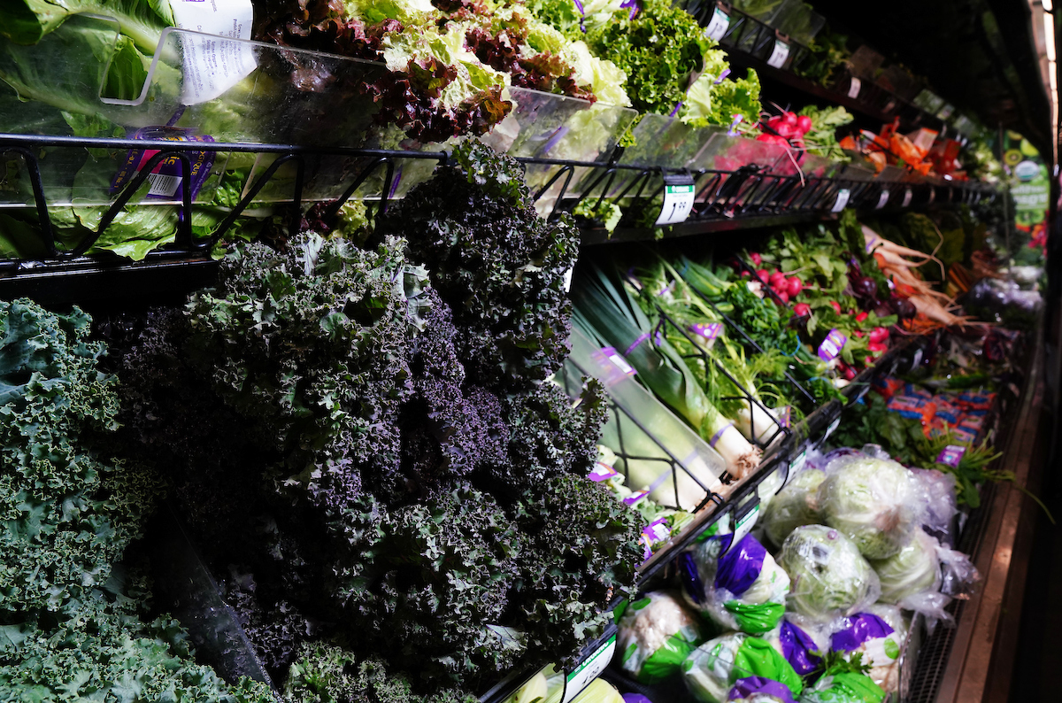 Jackson County- Health & Human Sciences