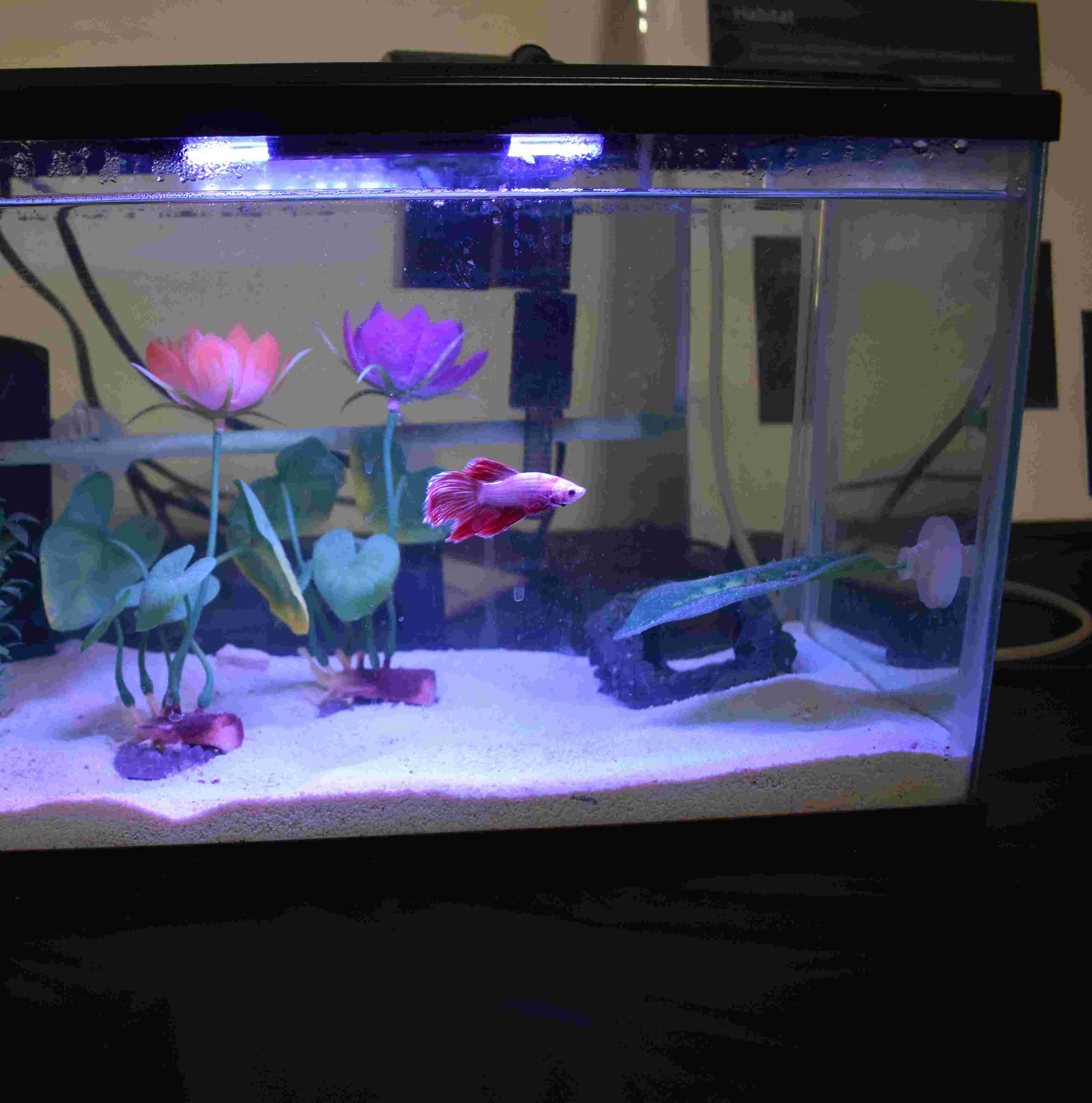 Aquatic Science