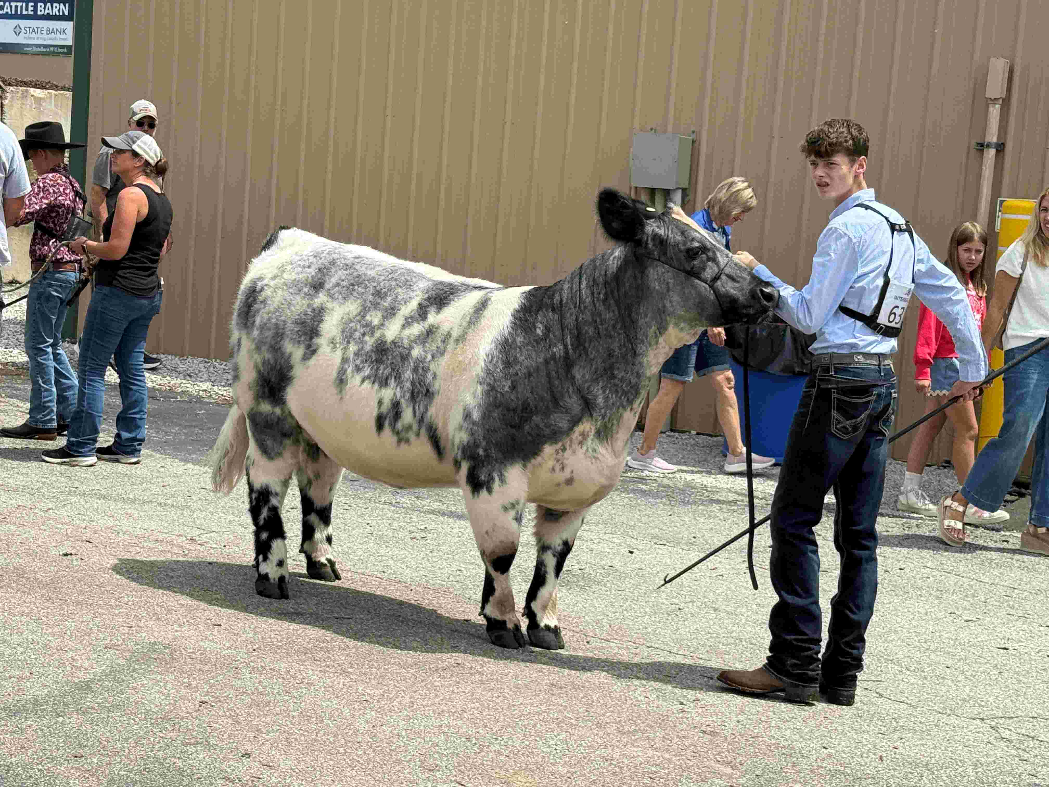 beef