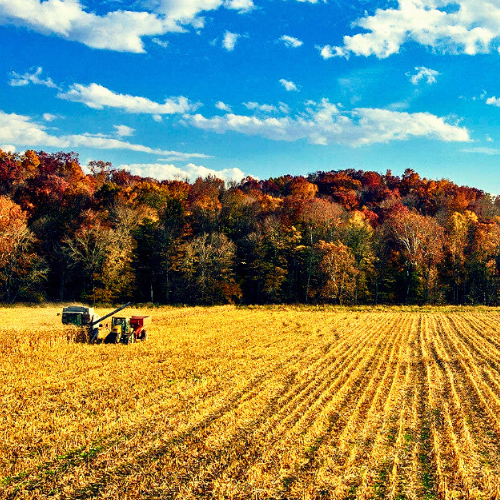 Brown County Purdue Extension