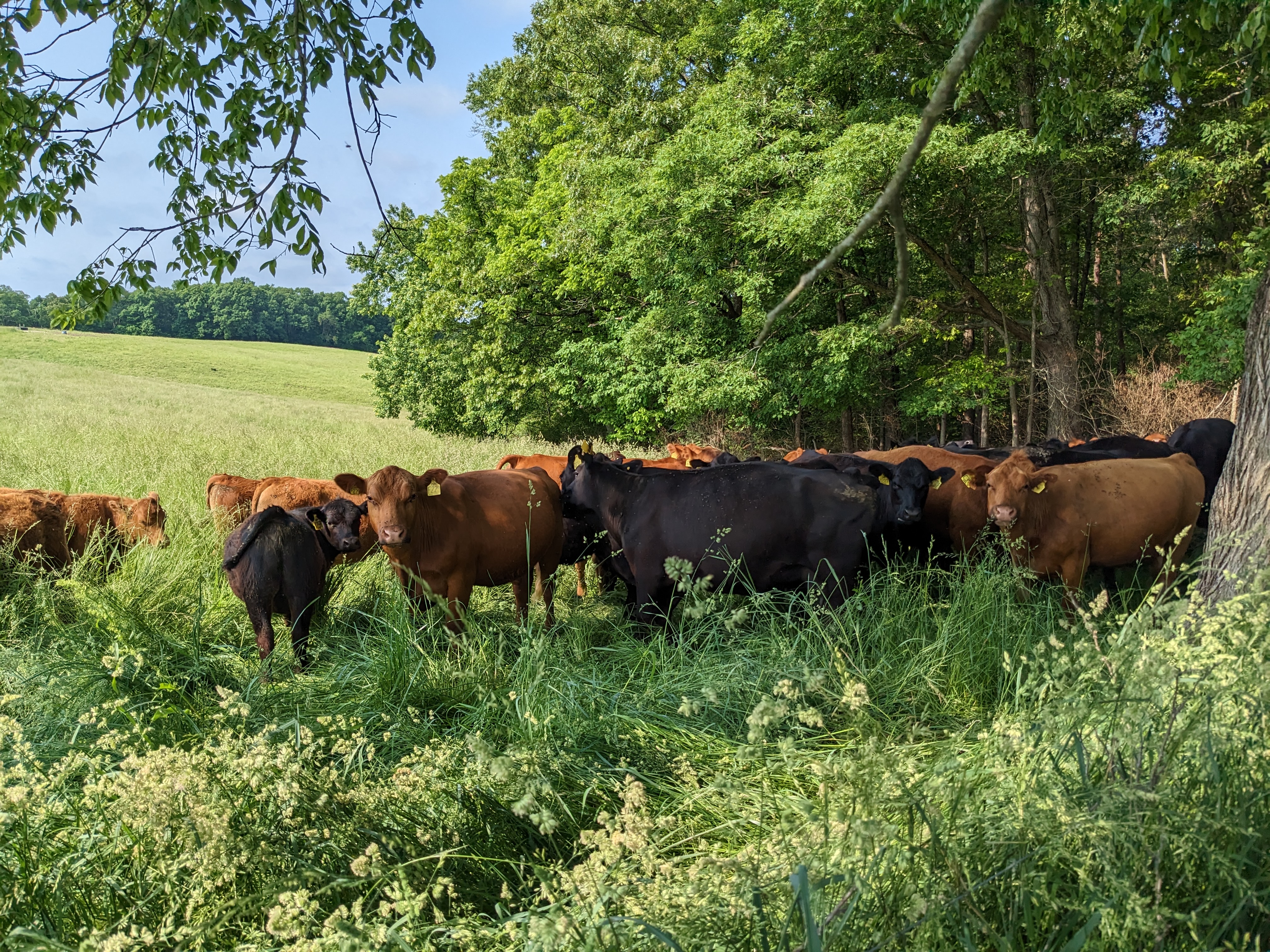 Ag & Natural Resources