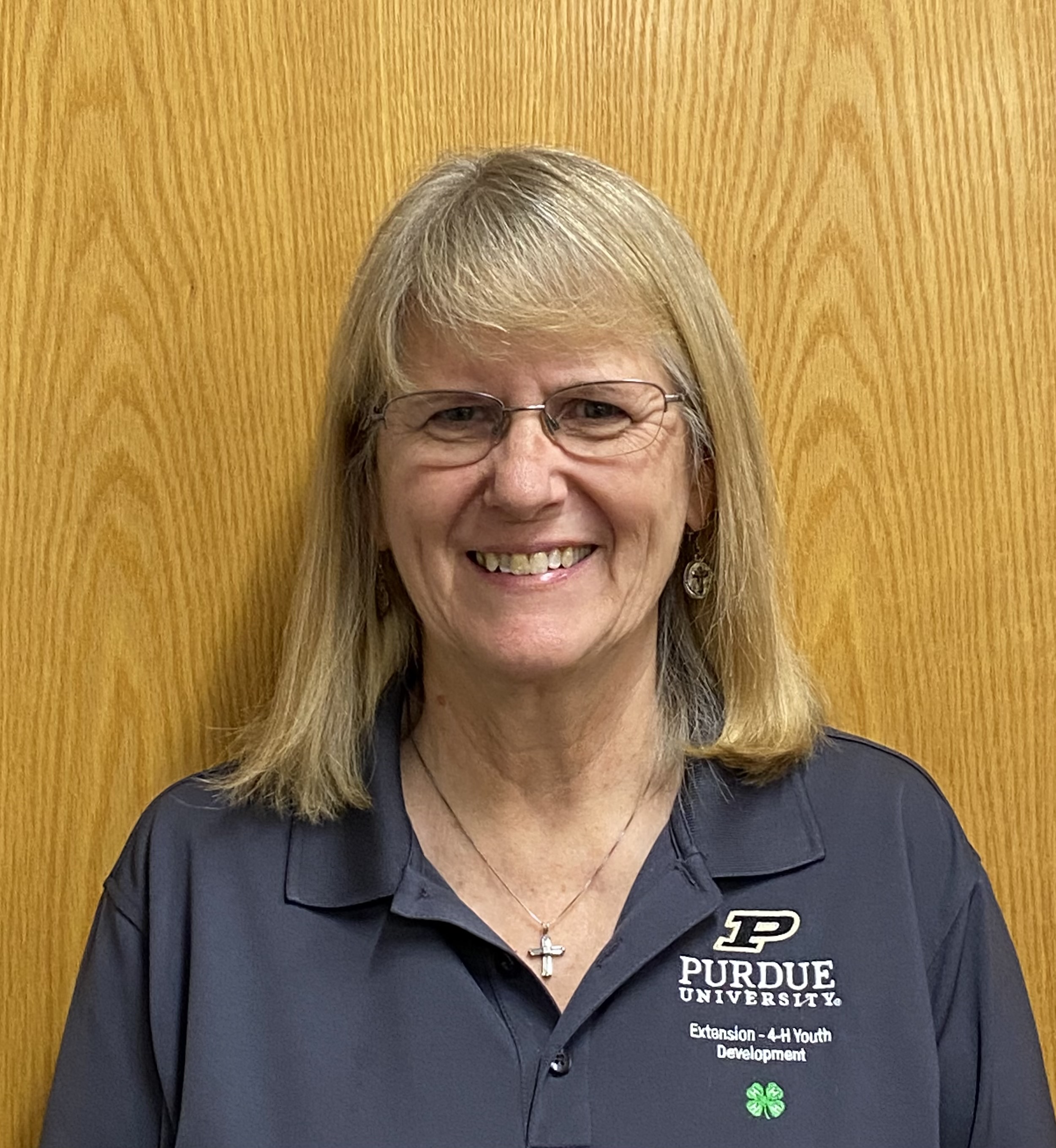 About Hendricks County