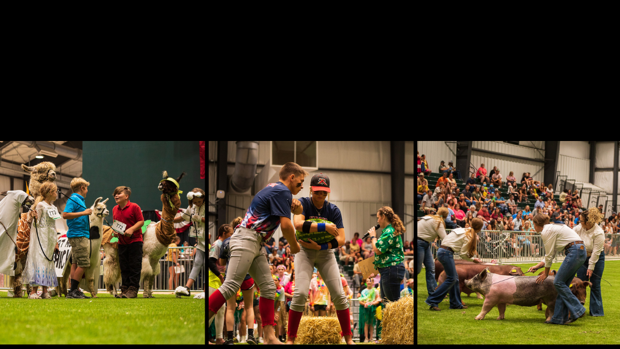 Tippecanoe County 4-H